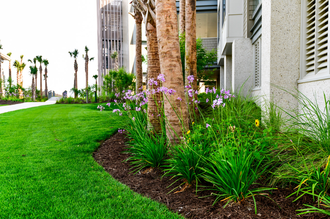 Timbers Resorts - Outdoor Spatial Design