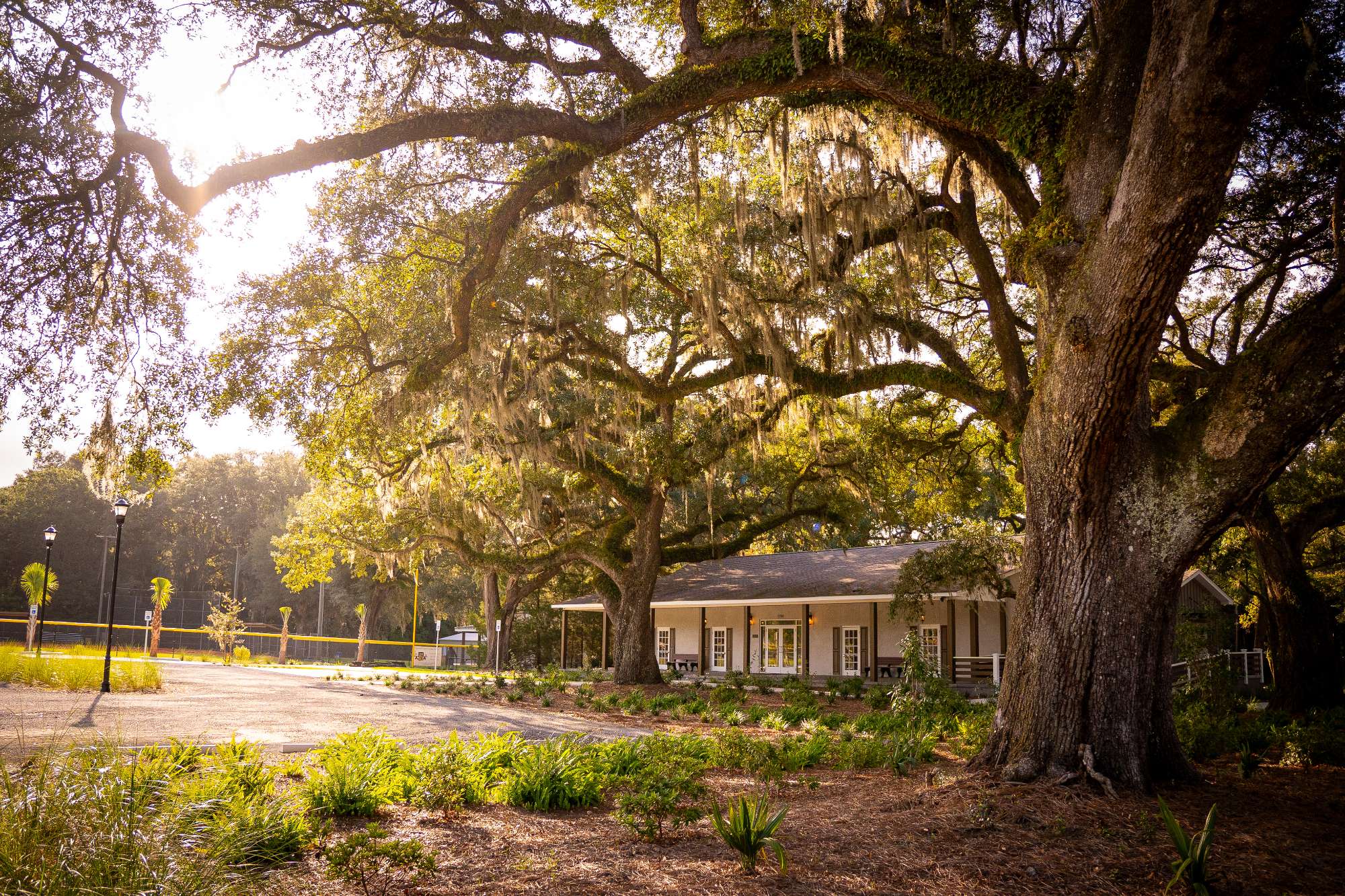 Ravenel Community Hall and Park - Outdoor Spatial Design